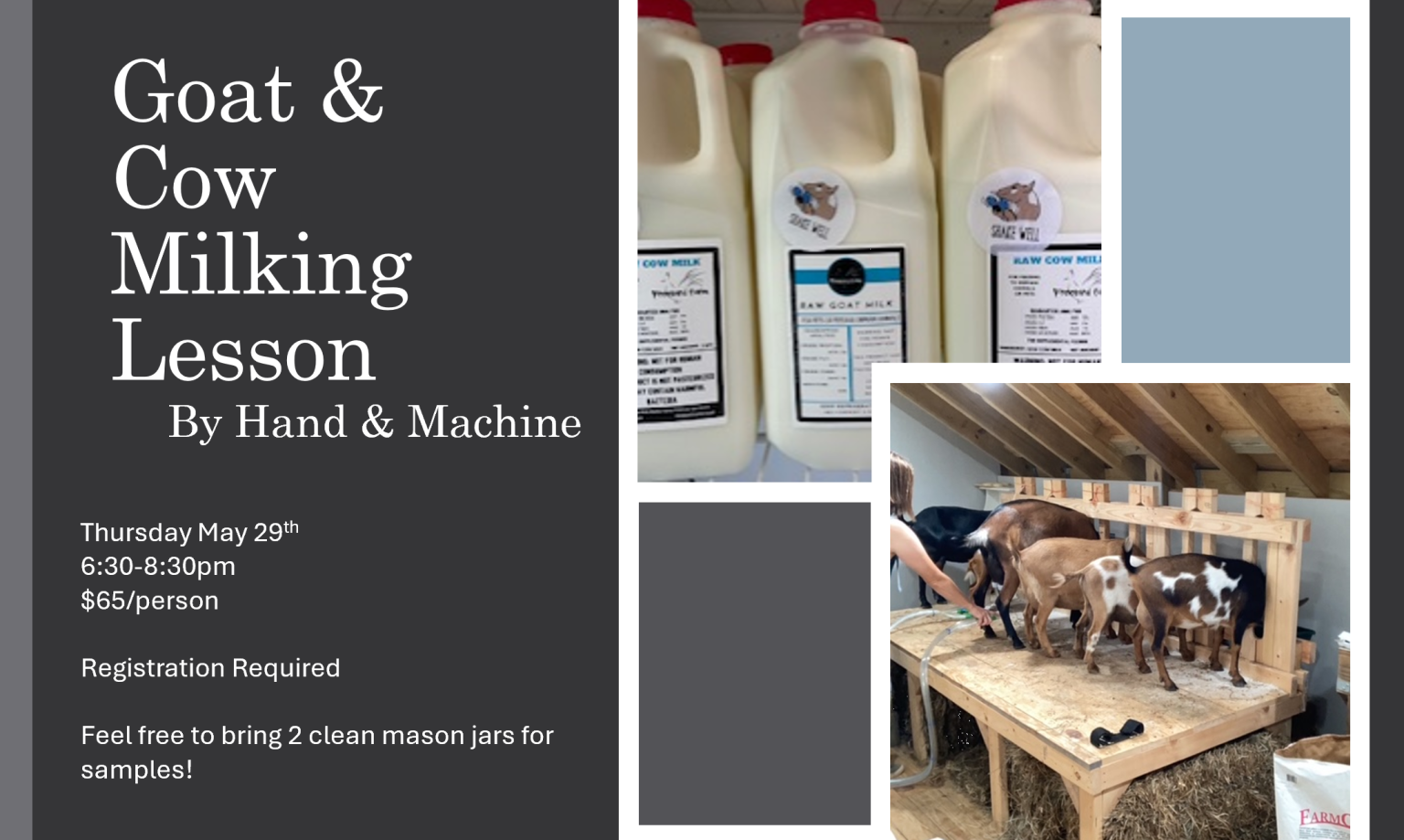 Adult Classes – Freebird Farm